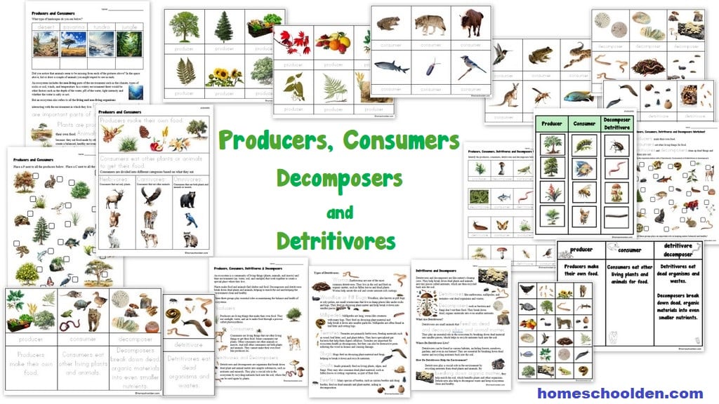 Producer Consumer Decomposer Packet Liesl Homeschool Den Mommy
